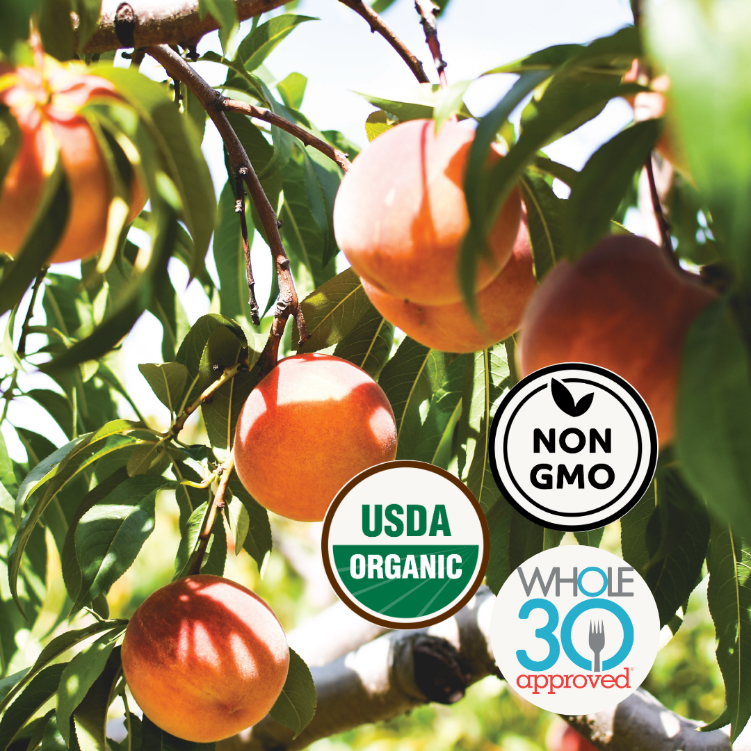 *Sprouts Exclusive* Peach Cider Vinegar – Fresh Press Farms